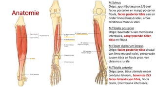 Medial tibial stress syndrome (MTSS) | PPTX