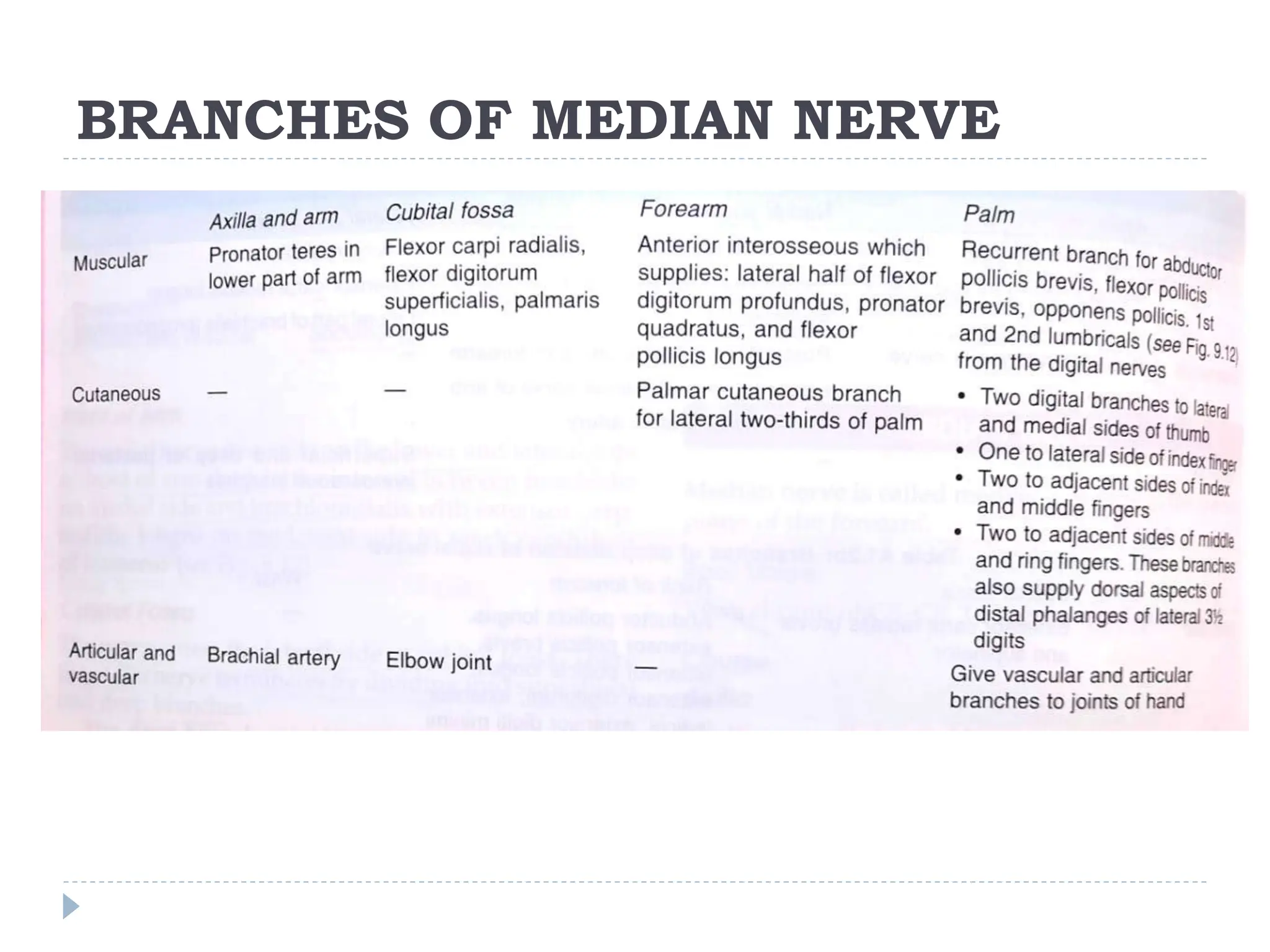 ANATOMY OF MEDIAN AND ULNAR NERVE AND APPLIED ANATOMY | PPTX