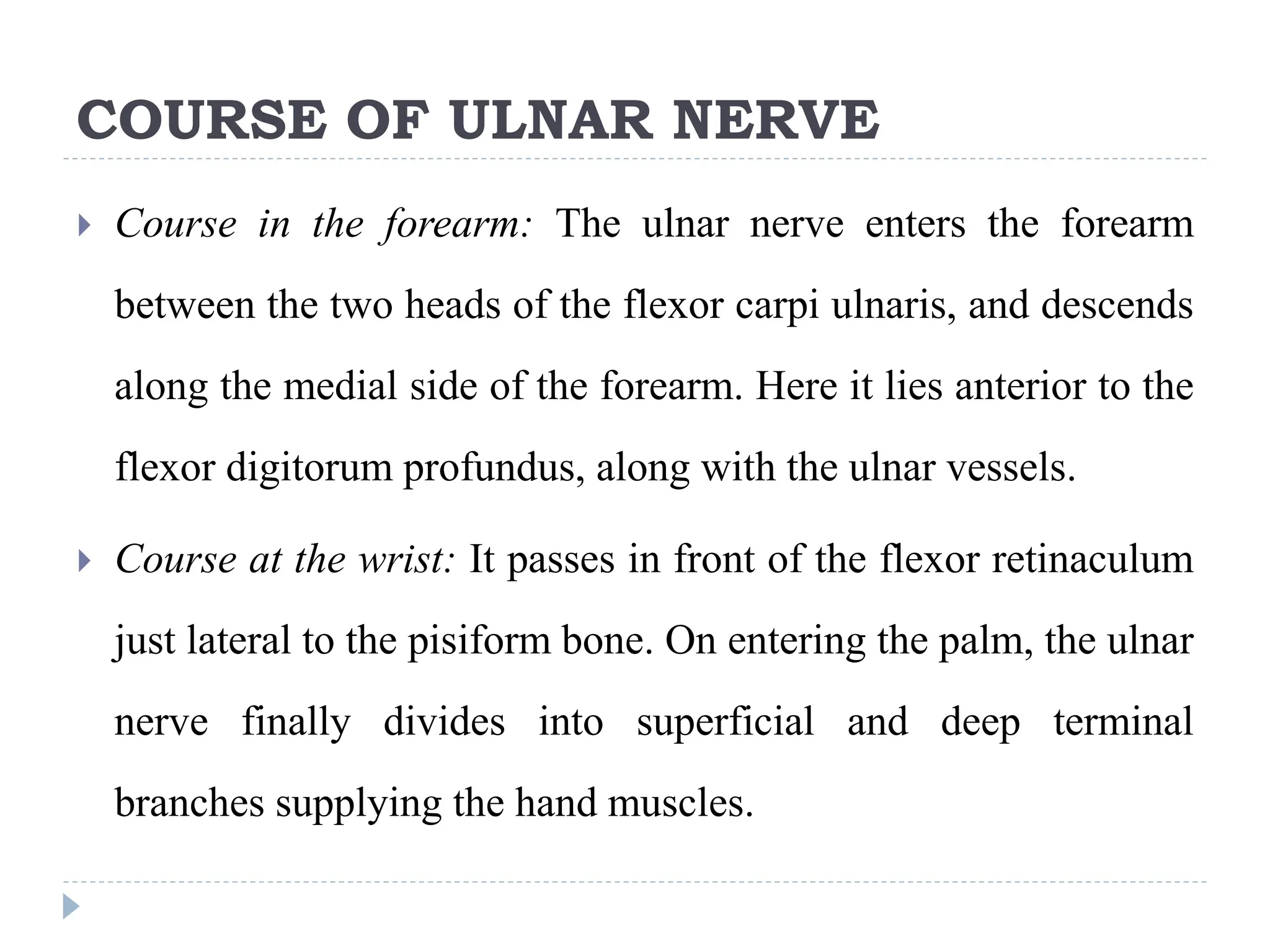 ANATOMY OF MEDIAN AND ULNAR NERVE AND APPLIED ANATOMY | PPTX | Death ...