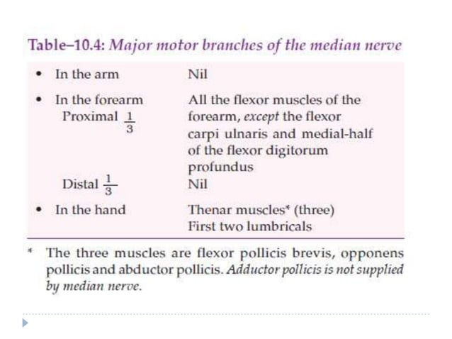 ANATOMY OF MEDIAN AND ULNAR NERVE AND APPLIED ANATOMY | PPT