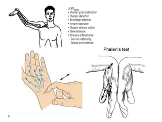 ANATOMY OF MEDIAN AND ULNAR NERVE AND APPLIED ANATOMY | PPTX | Death ...