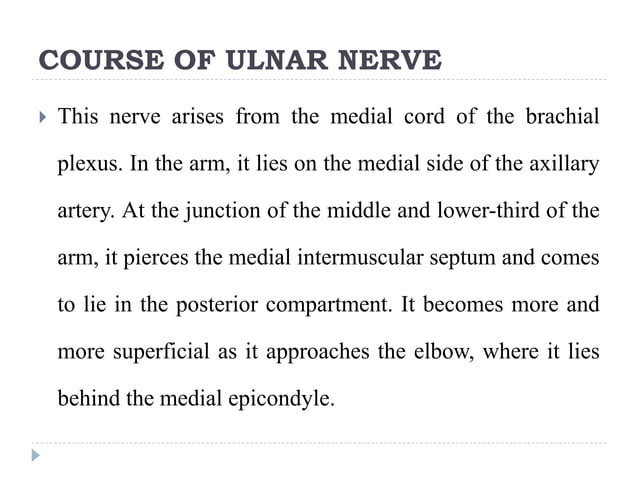 ANATOMY OF MEDIAN AND ULNAR NERVE AND APPLIED ANATOMY | PPT