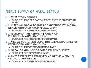 Median Nasal Septum | PPTX
