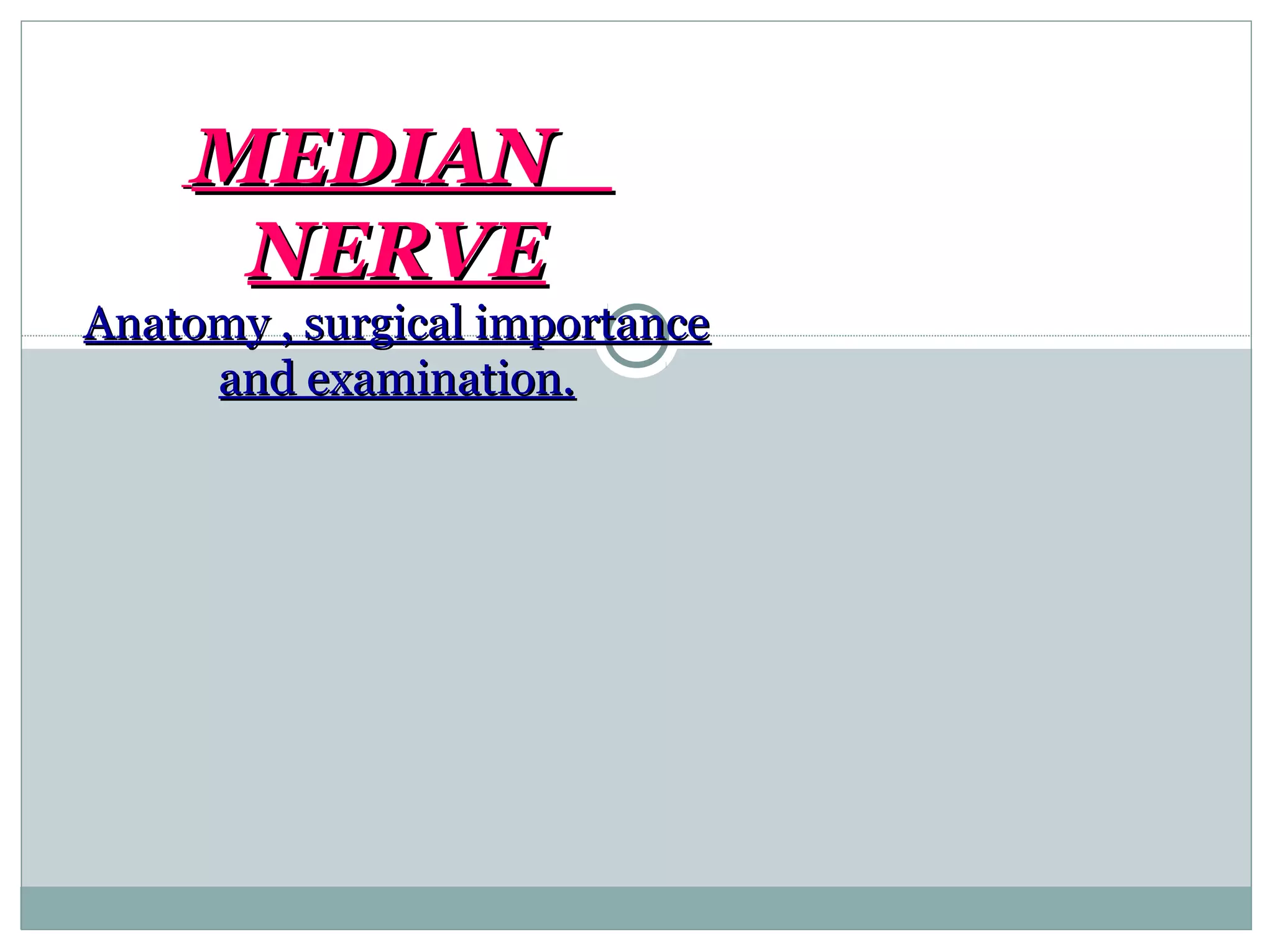 Median nerve | PPT
