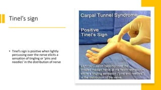 Median nerve | PPTX