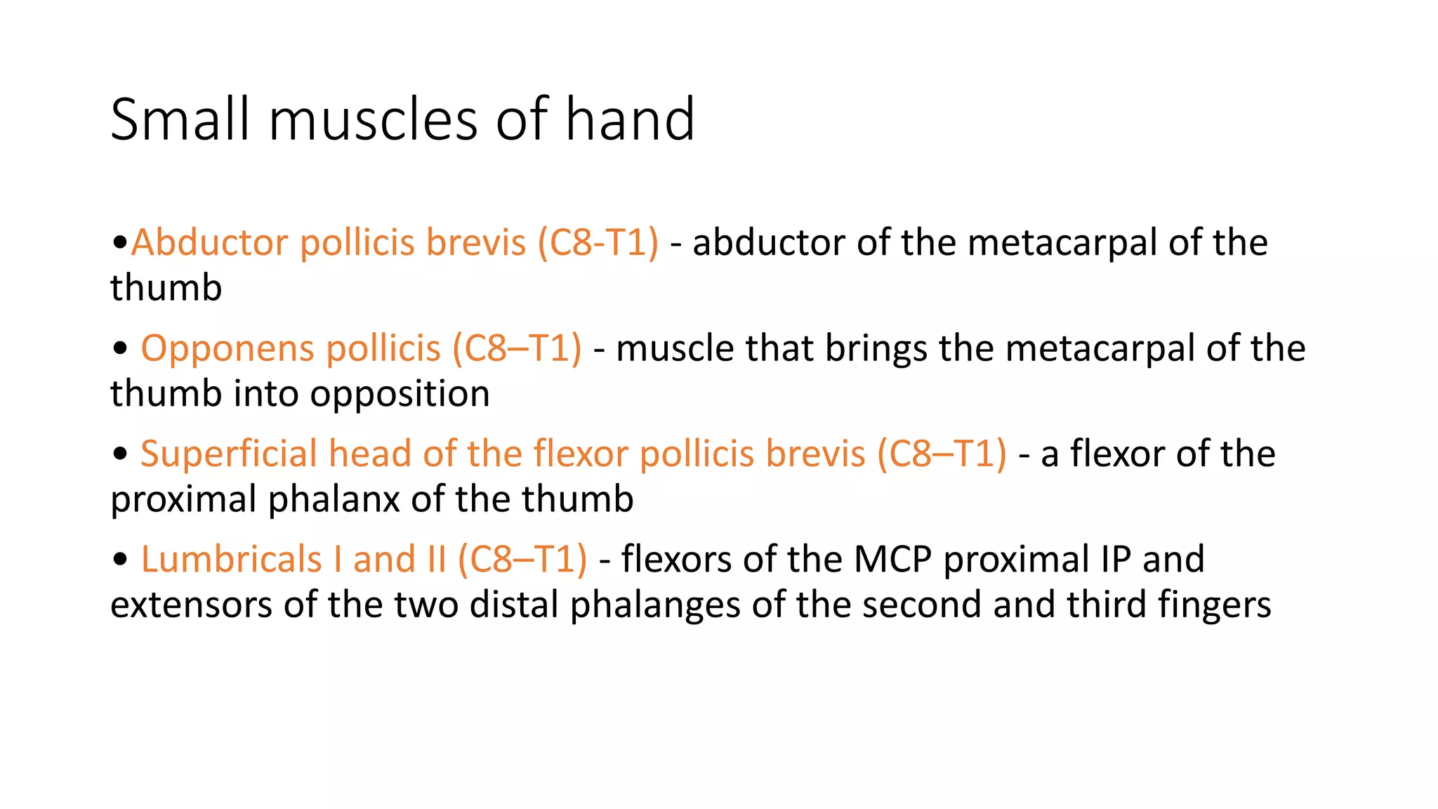 Median nerve injury | PPTX