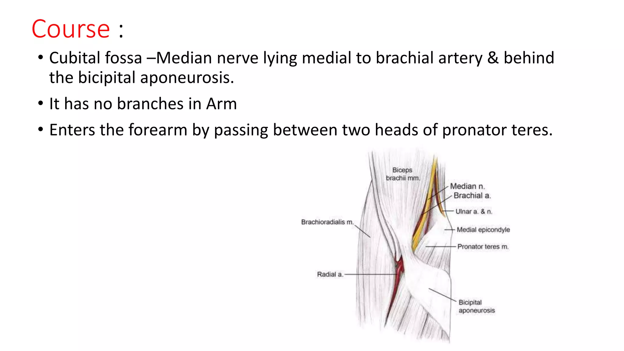 Median nerve injury | PPTX