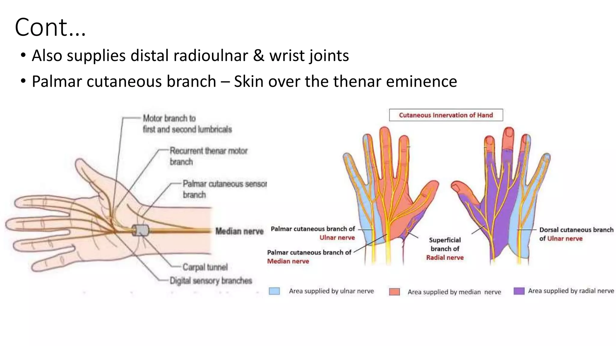 Median nerve injury | PPTX