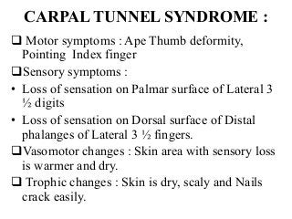 Median nerve.pptx