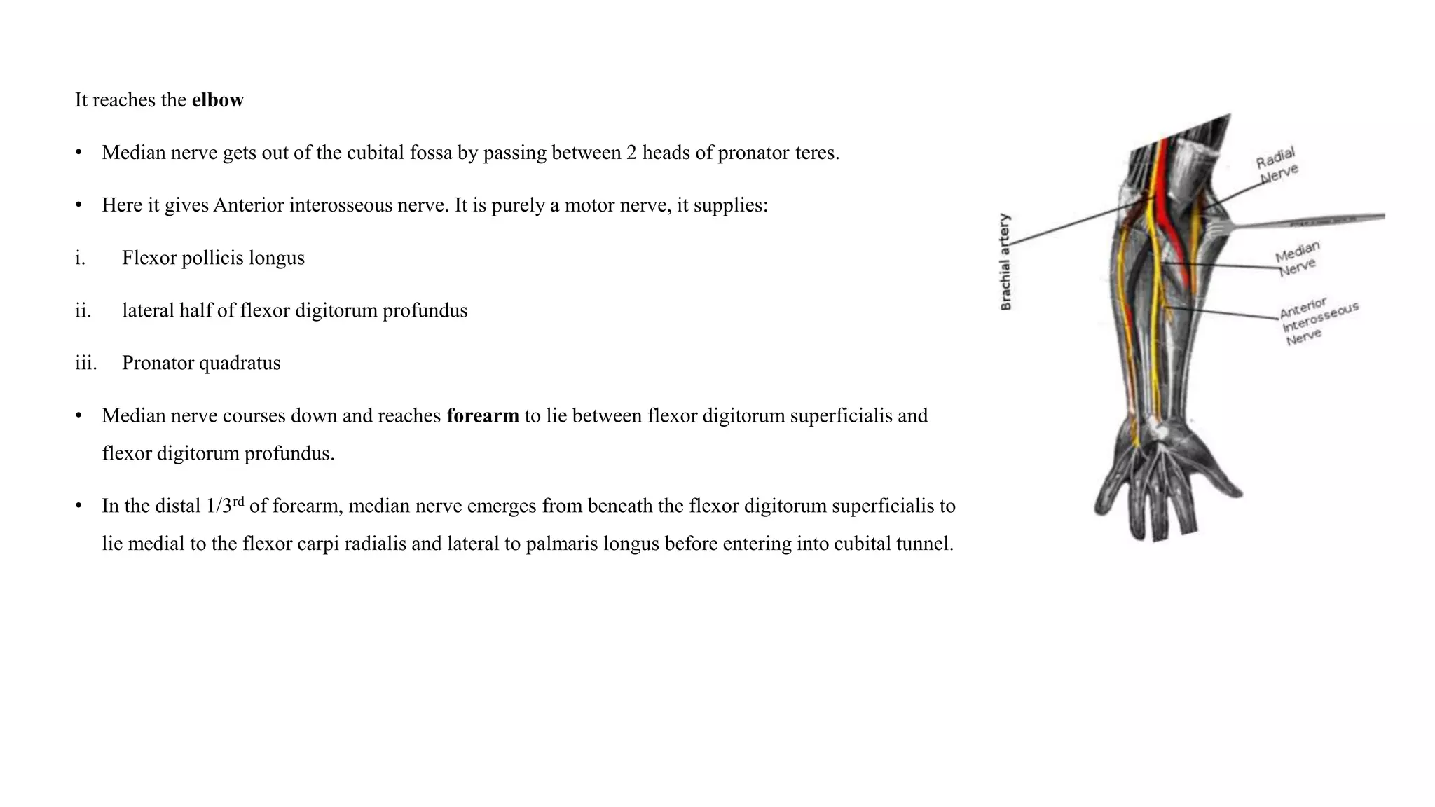 MEDIAN NERVE.pptx