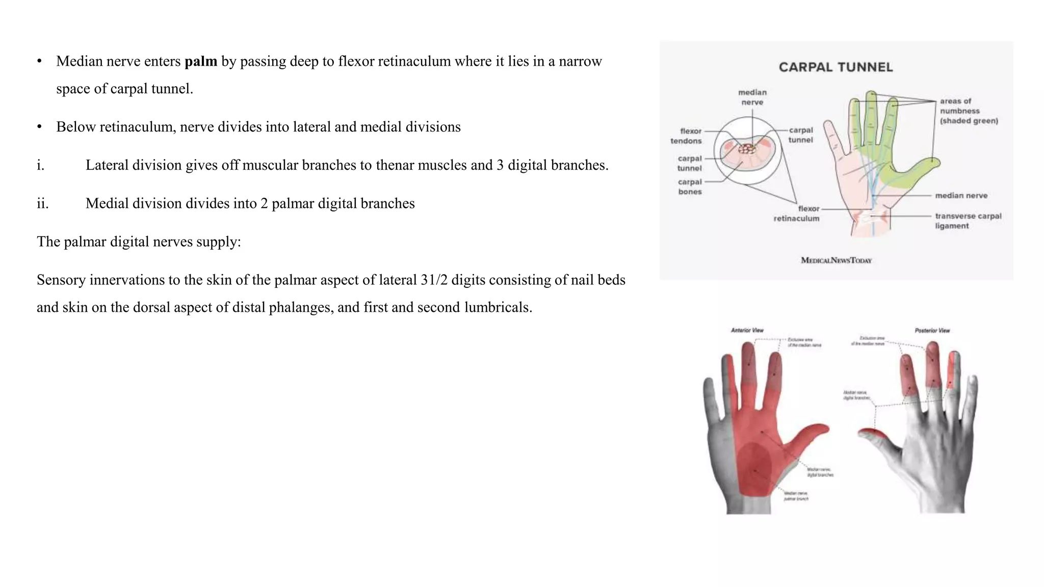 MEDIAN NERVE.pptx