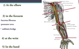 Median nerve injuries | PPT