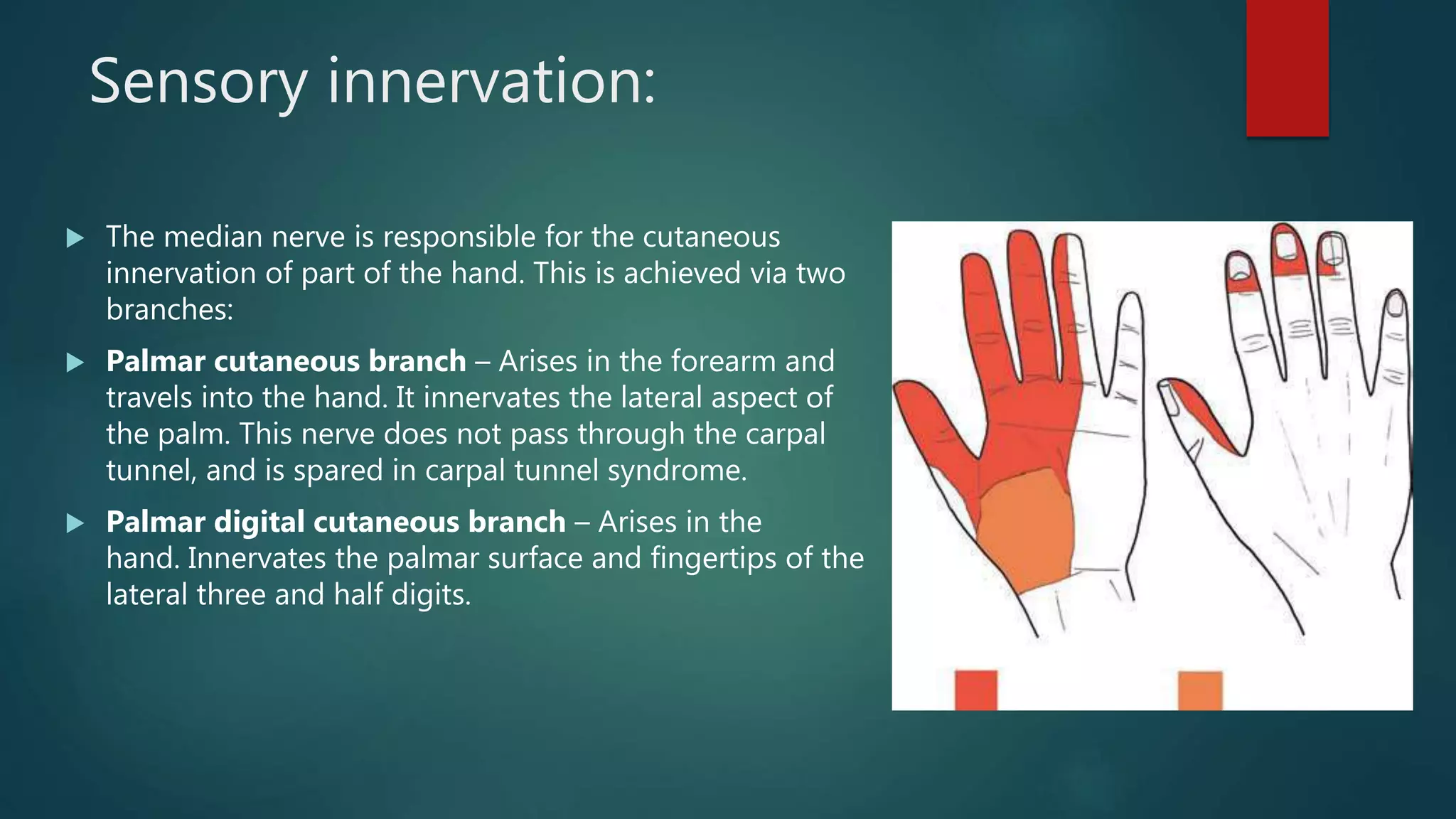 Median nerve injuries | PPTX