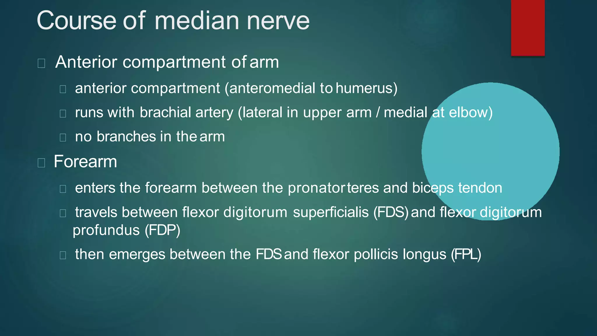 median nerve injuries.pptx | Death, Injury, or Military Conflict ...