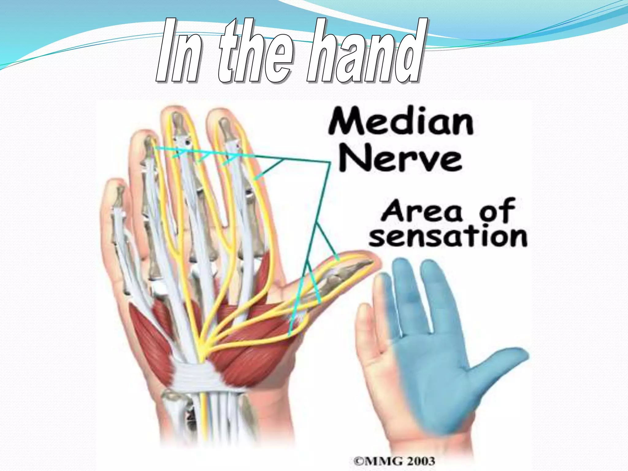 Median nerve injuries | PPTX