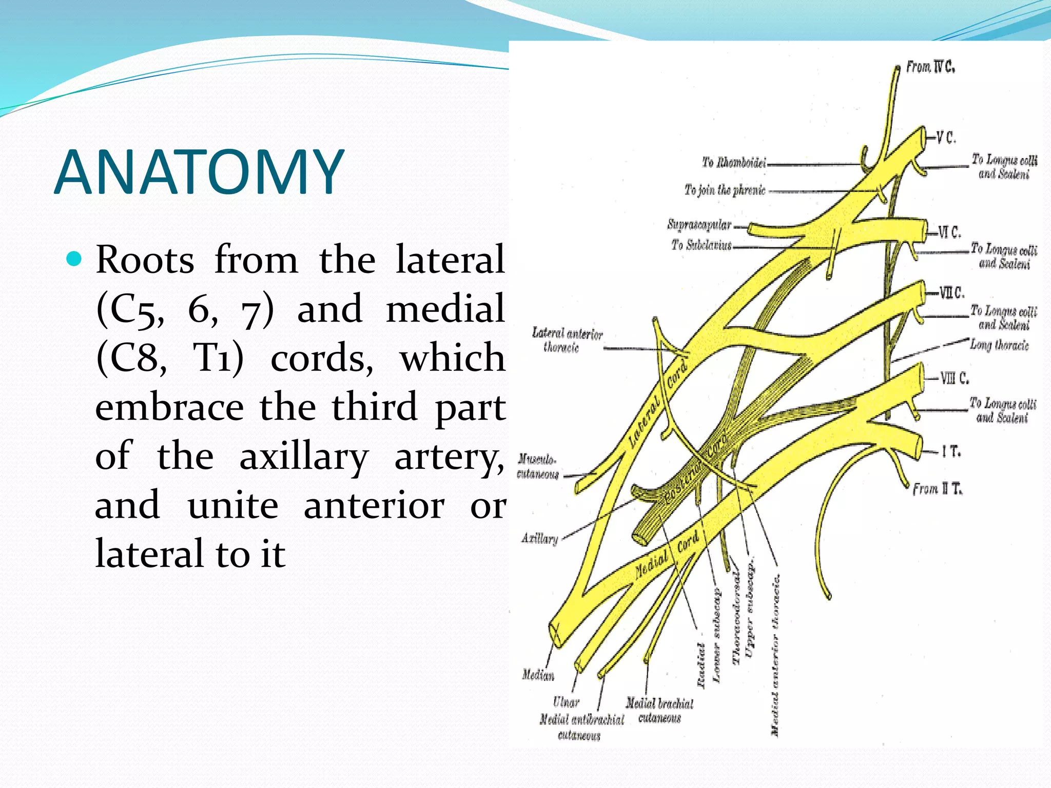 Median nerve injuries | PPTX