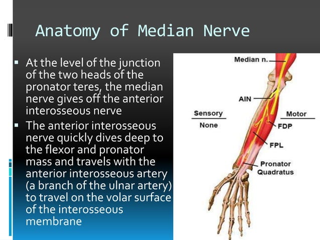 Median nerve injury | PPT
