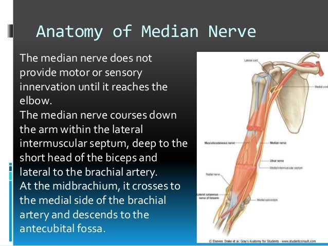 Median nerve injury