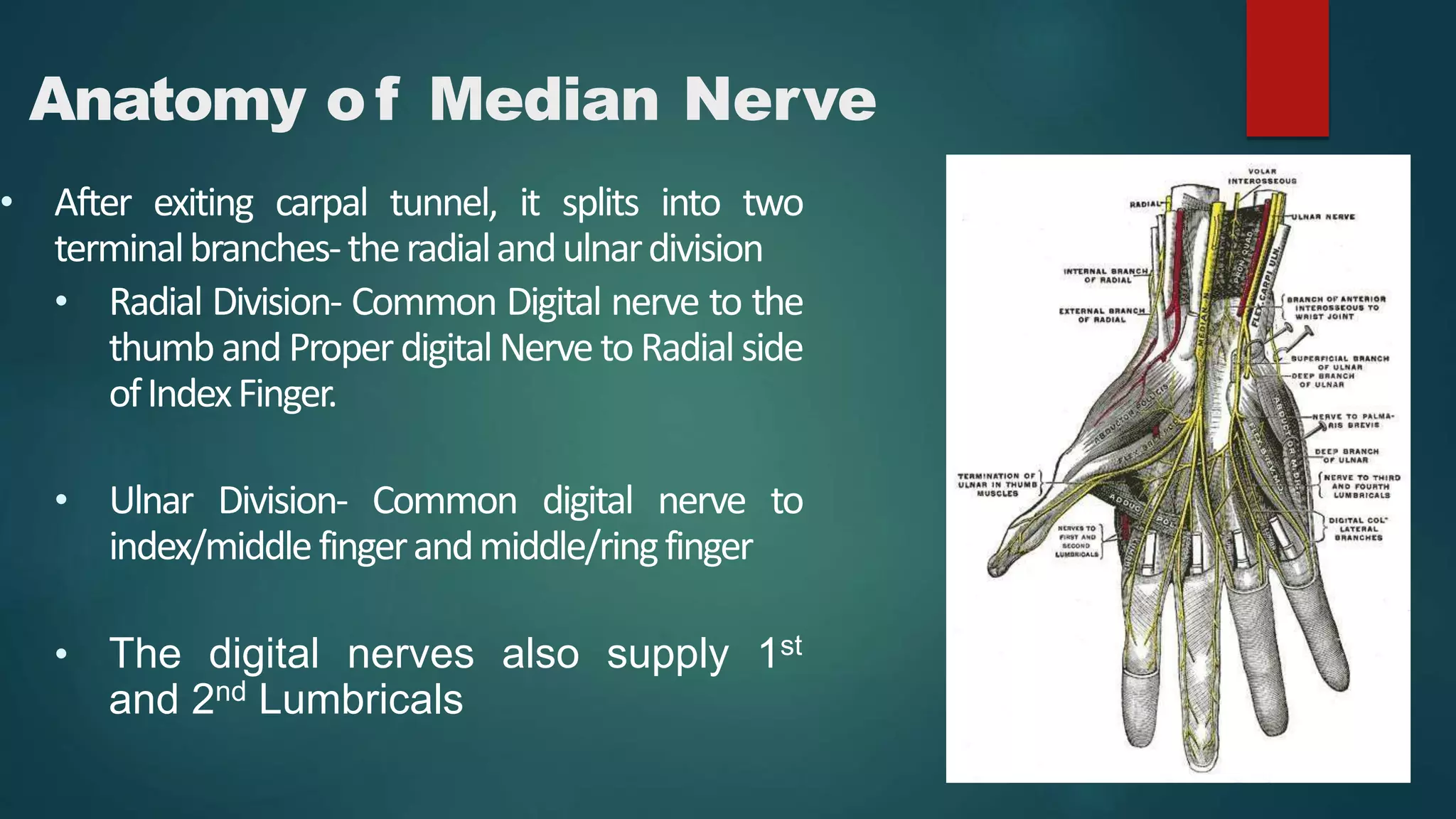 Median nerve palsy | PPTX