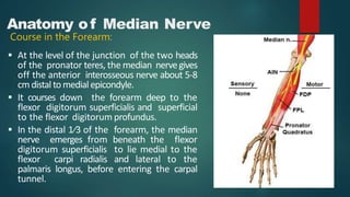 Median nerve palsy | PPTX