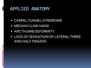 Anatomy of Median Nerve & Ulnar Nerve.pptx