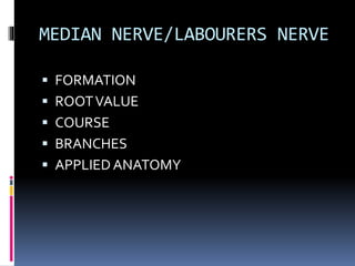 Anatomy of Median Nerve & Ulnar Nerve.pptx