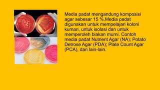 Menganalisis pembuatan media padat .pptx