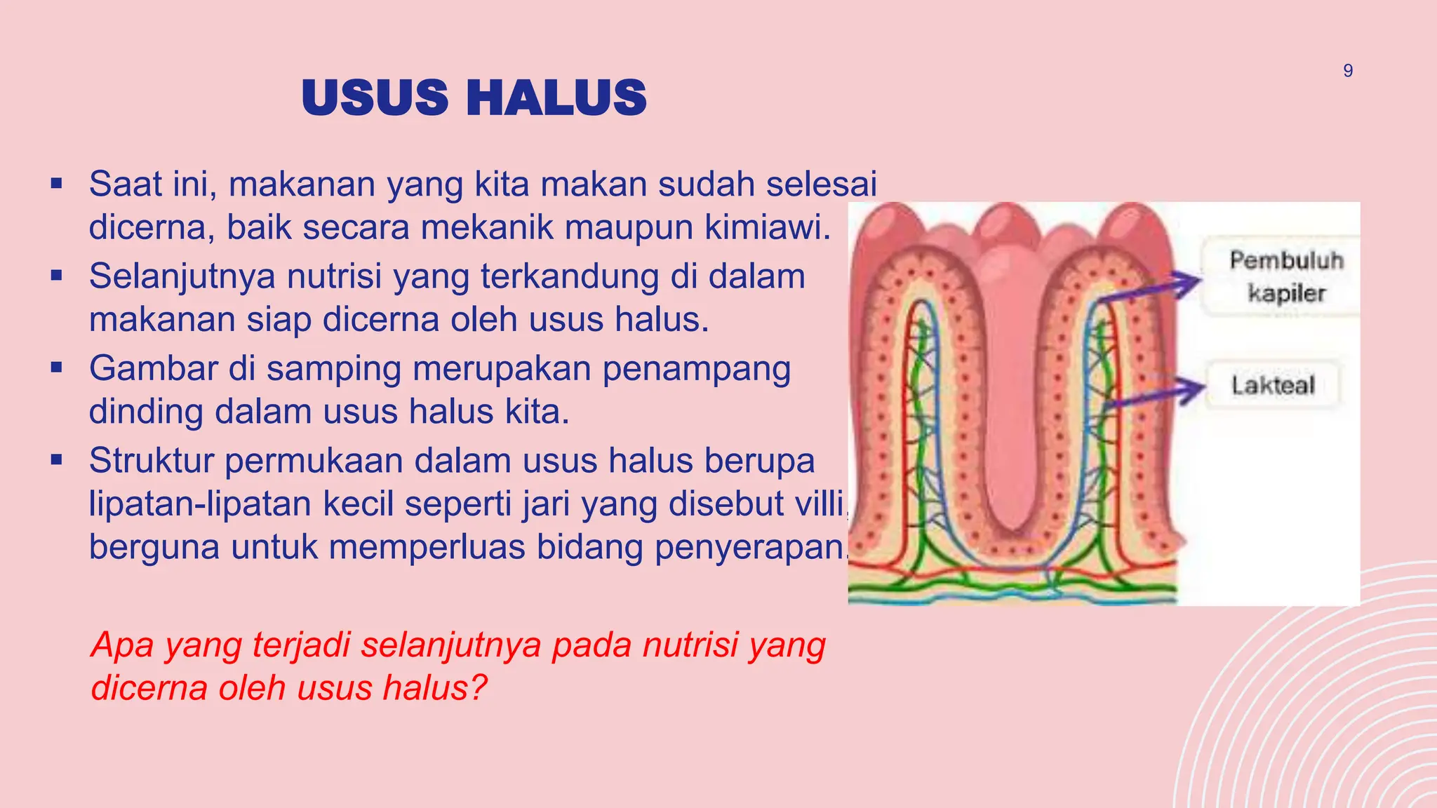 Media Pembelajaran Sistem Pencernaan Makanan pada Manusia.pptx