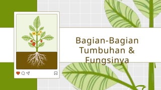 Media Pembelajaran Mapel IPAS Kls 4.pptx