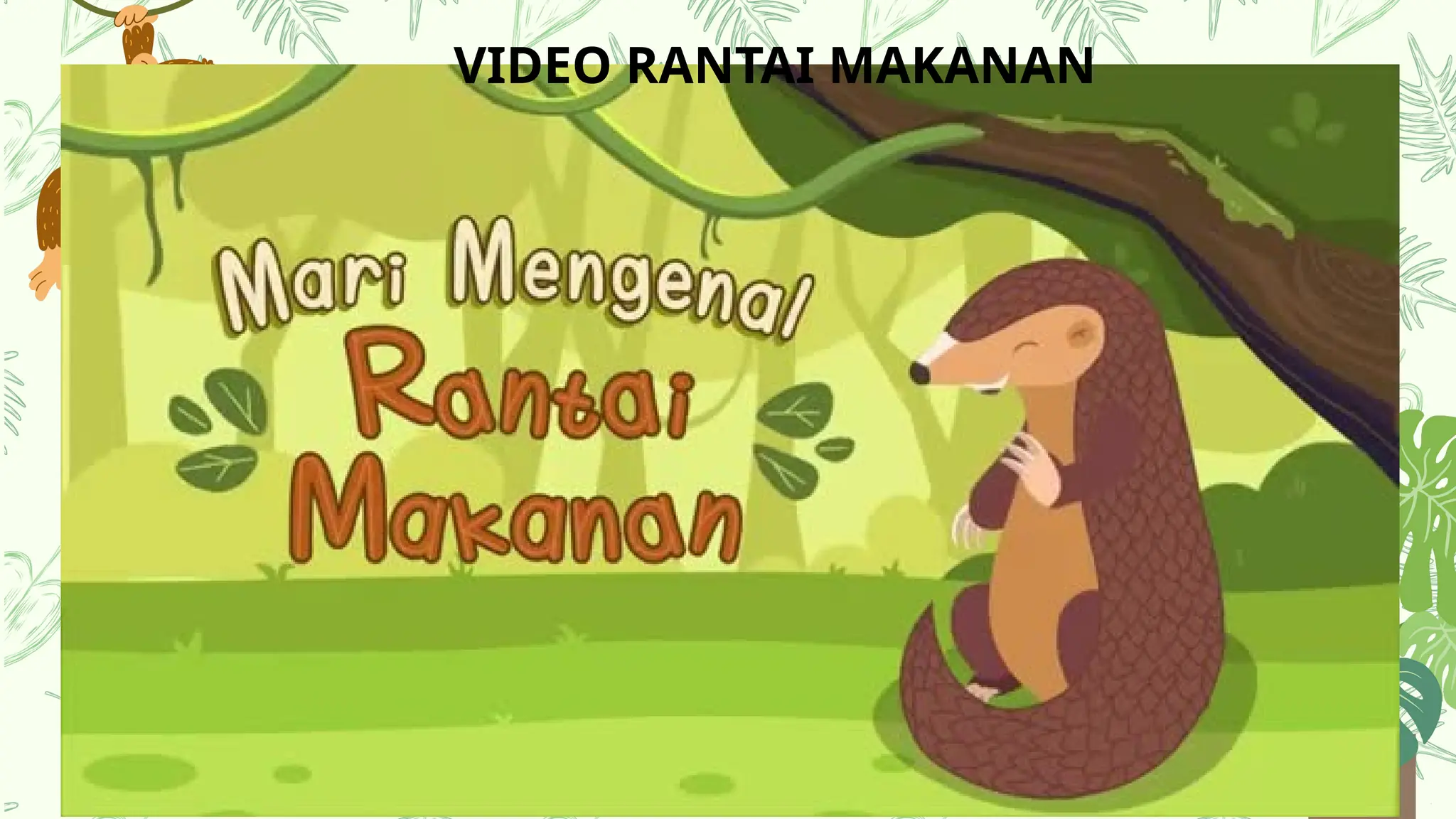 MEDIA PEMBELAJARAN RANTAI MAKANAN KELAS 5.pptx