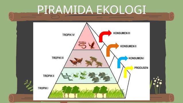 MEDIA PEMBELAJARAN RANTAI MAKANAN KELAS 5.pptx