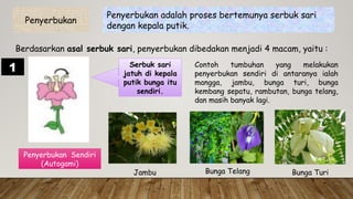 Media Tema 1 Subtema 1 pembelajaran 1.pptx