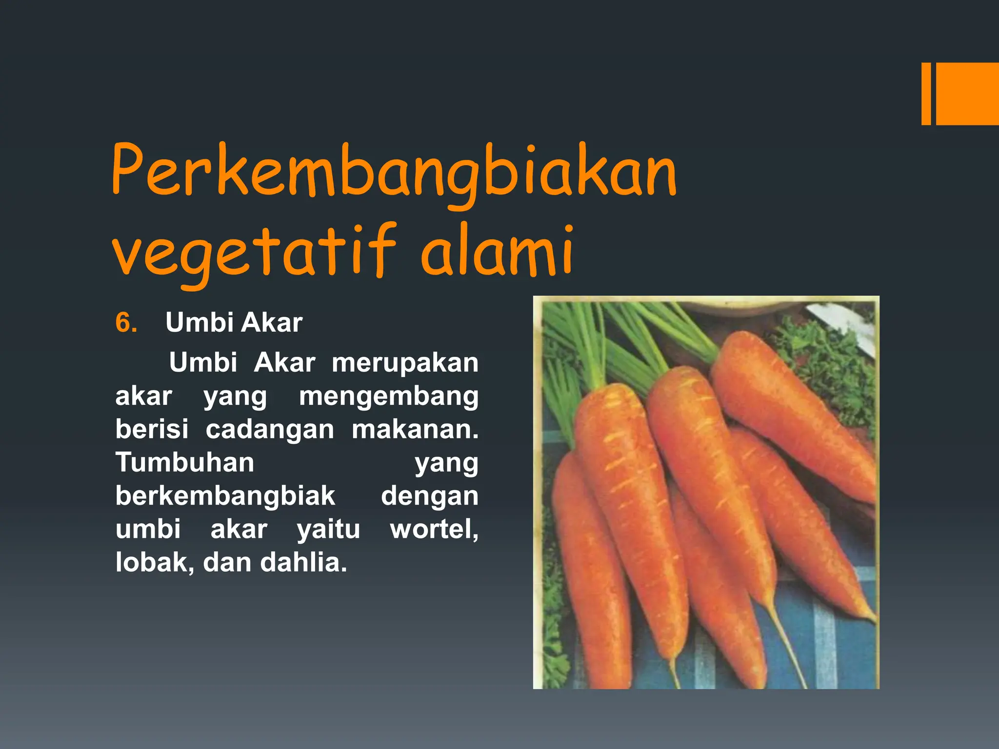 media perkembangbiakan vegetatif pada tumbuhan | PPT