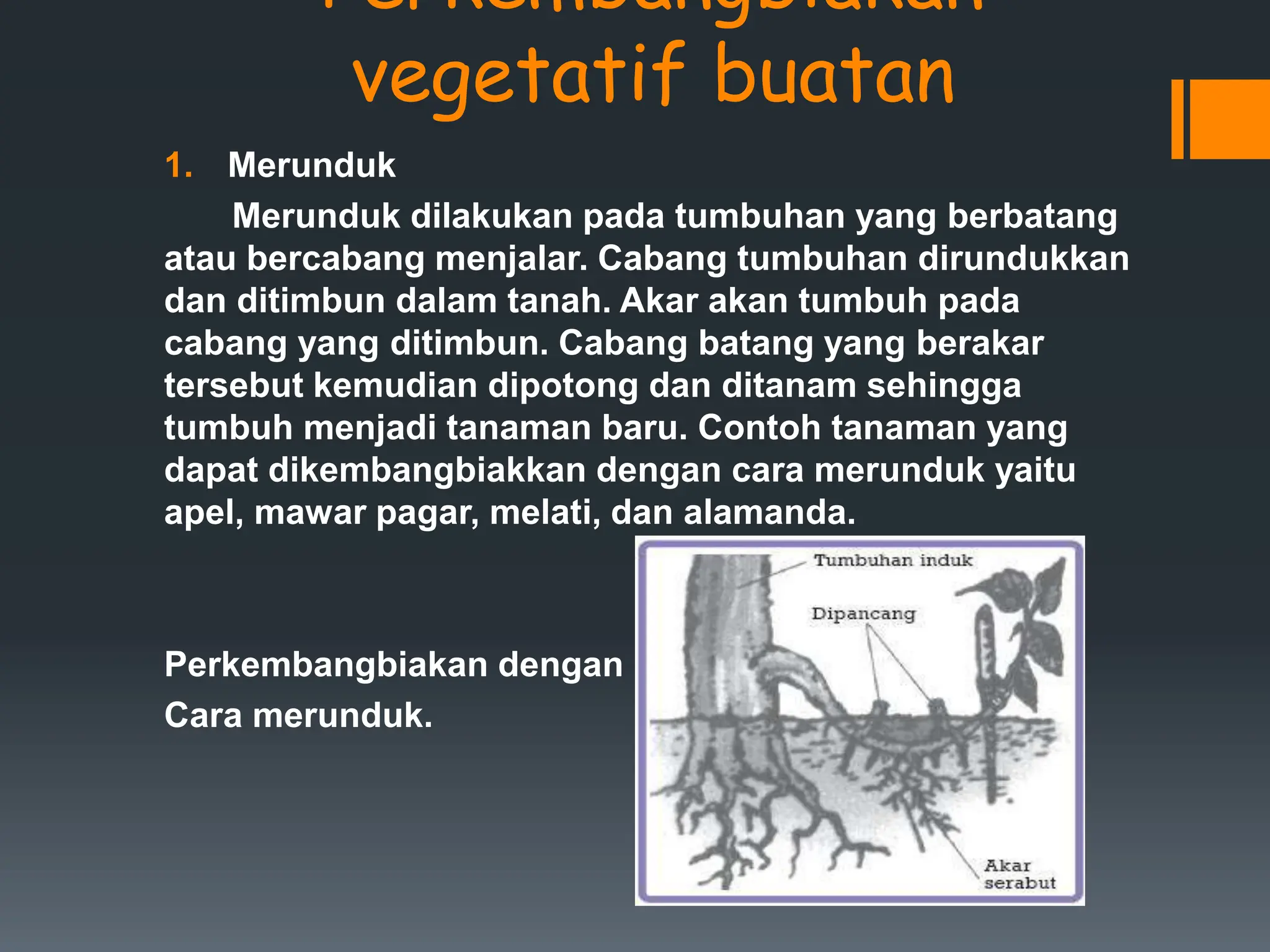 media perkembangbiakan vegetatif pada tumbuhan | PPT