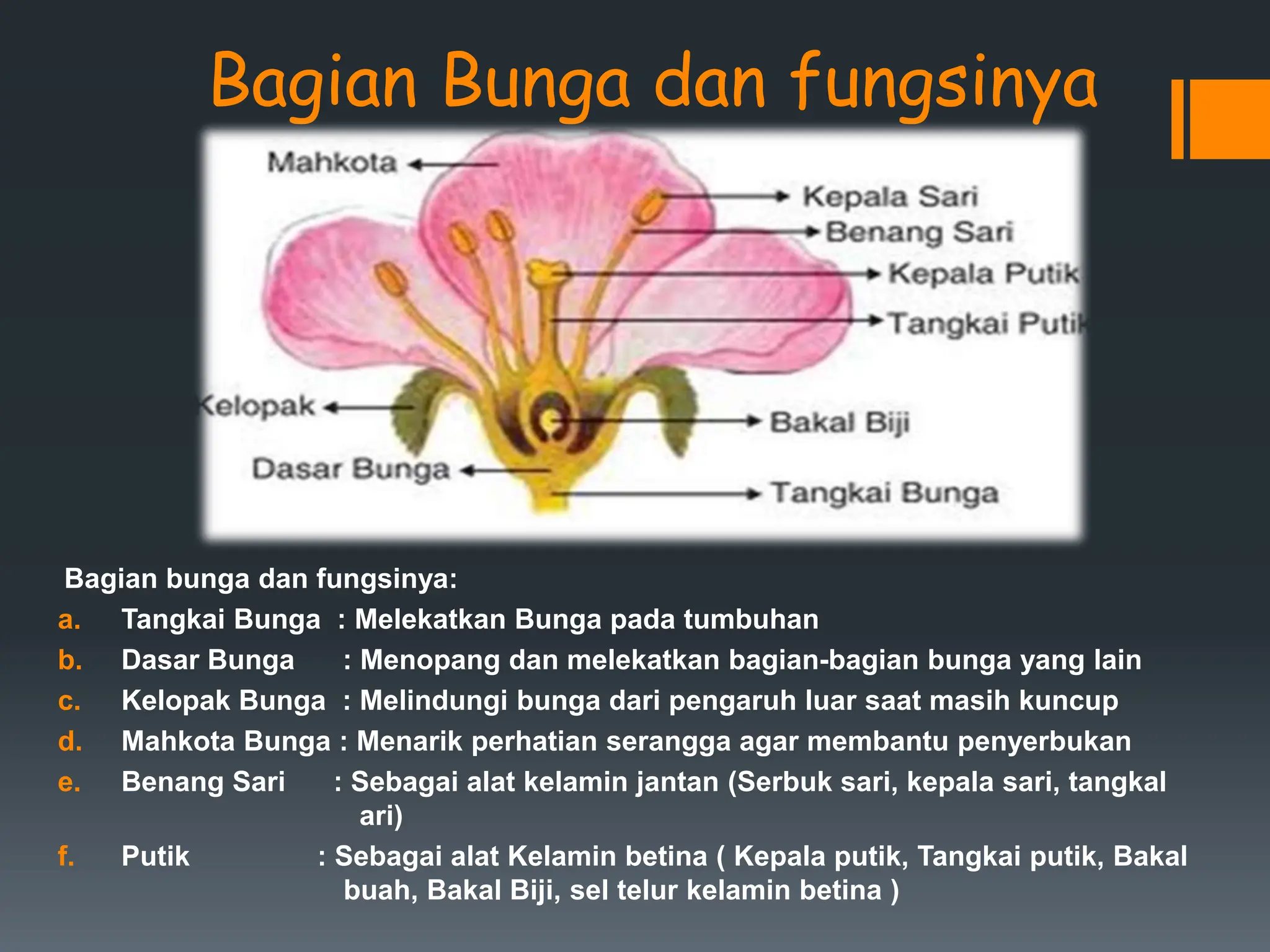 media perkembangbiakan vegetatif pada tumbuhan | PPT