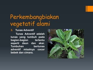 media perkembangbiakan vegetatif pada tumbuhan | PPT