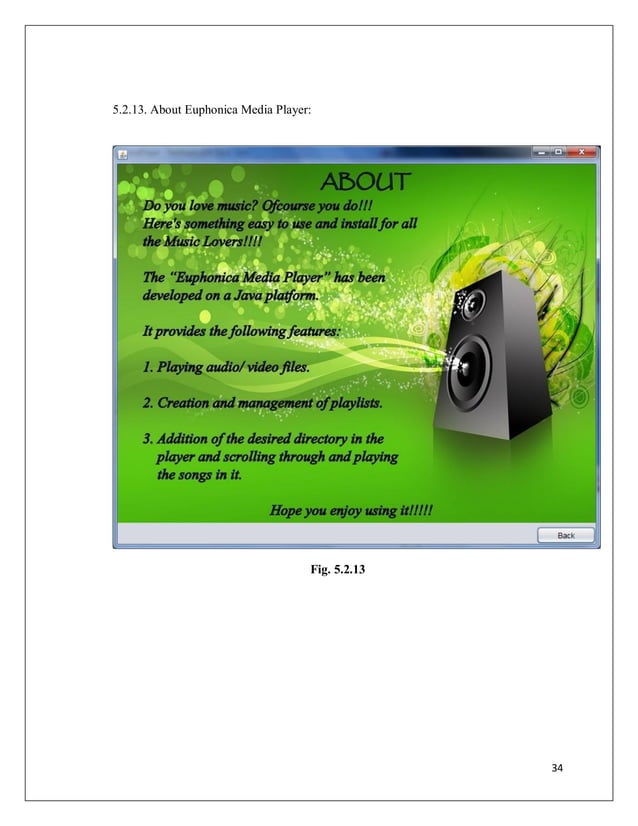 Media player management system project report.pdf