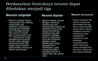 MEDIA PPT.pptx
