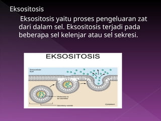 MEDIA pptBIOPROSES PADA SEL. manusia ppt | PPT