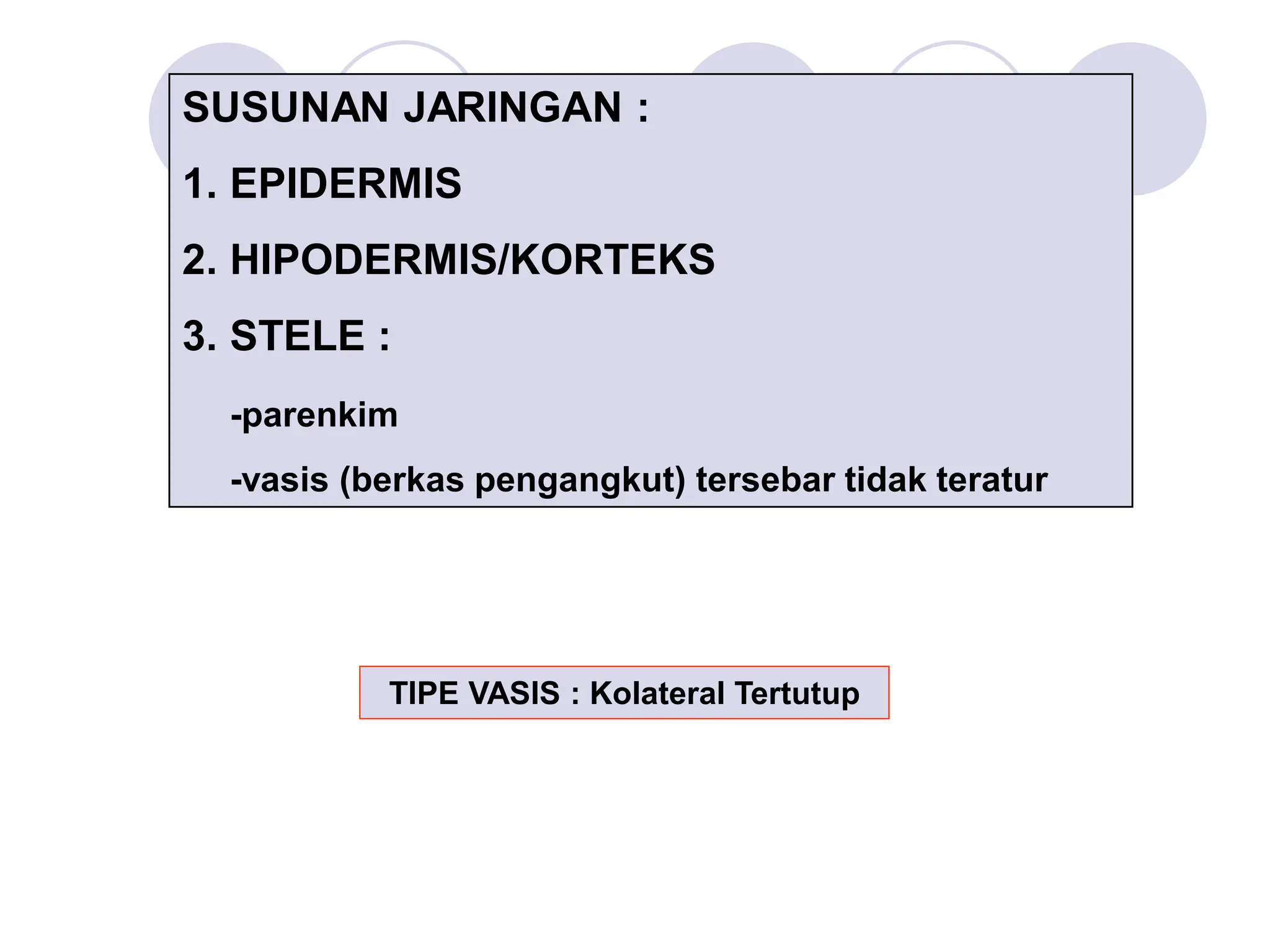 Media PPT Struktur dan Fungsi jaringan Pada Tumbuhan Pidarmawati Zebua.pdf