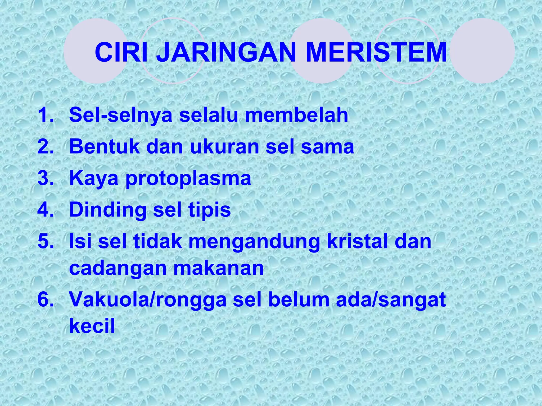 Media PPT Struktur dan Fungsi jaringan Pada Tumbuhan Pidarmawati Zebua.pdf
