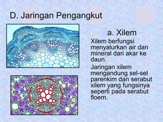 Media PPT Struktur dan Fungsi jaringan Pada Tumbuhan Pidarmawati Zebua.pdf