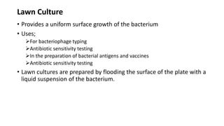 Media preparation | PPTX