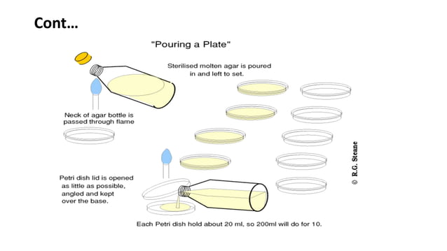Media preparation | PPTX | Chemistry | Science