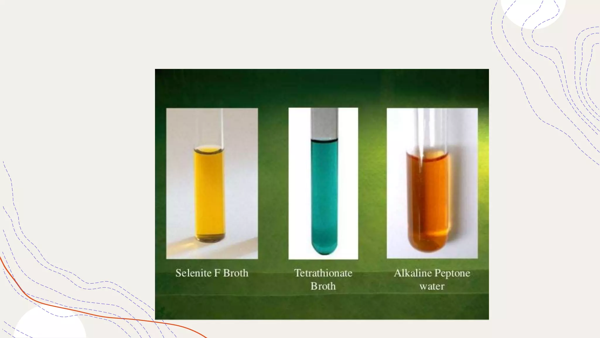 Preparation of bacterial culture media | PPTX