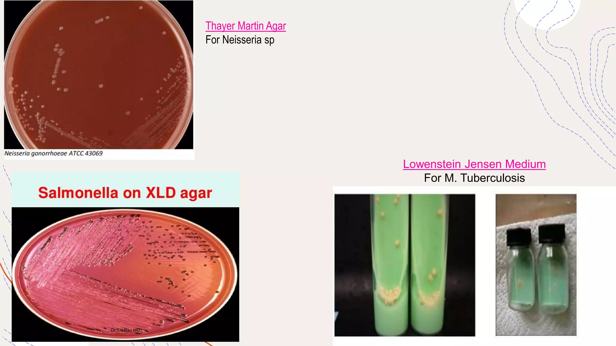 Preparation of bacterial culture media | PPTX