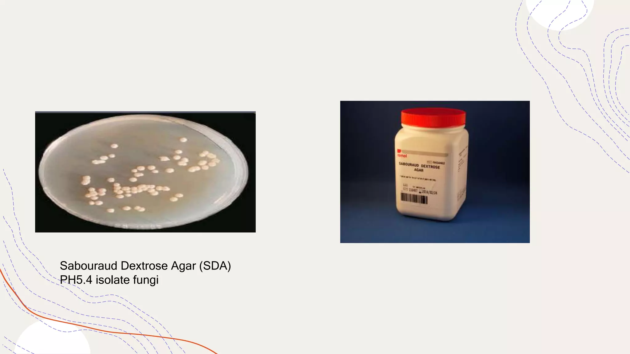 Preparation of bacterial culture media | PPTX