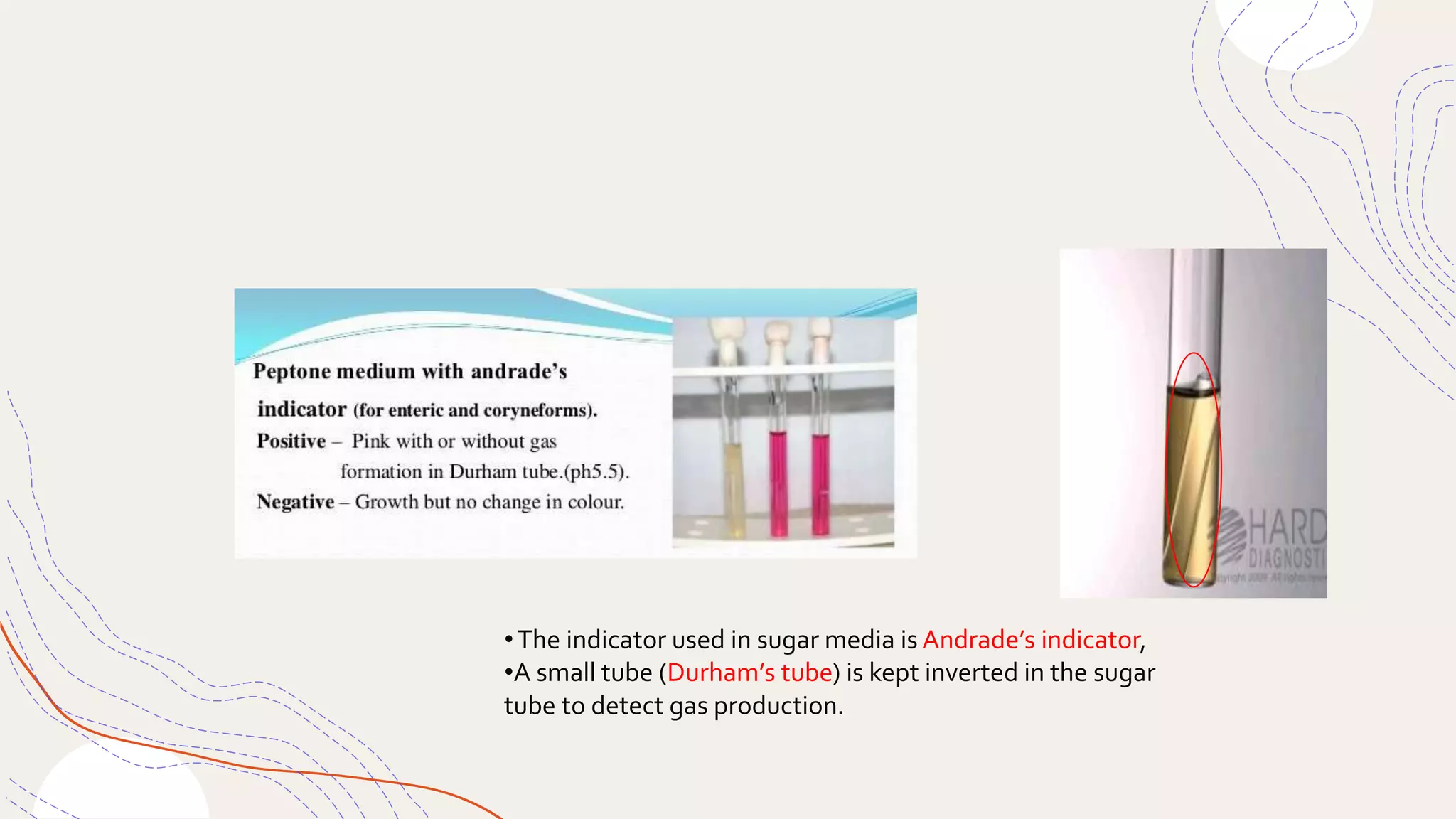 Preparation of bacterial culture media | PPTX