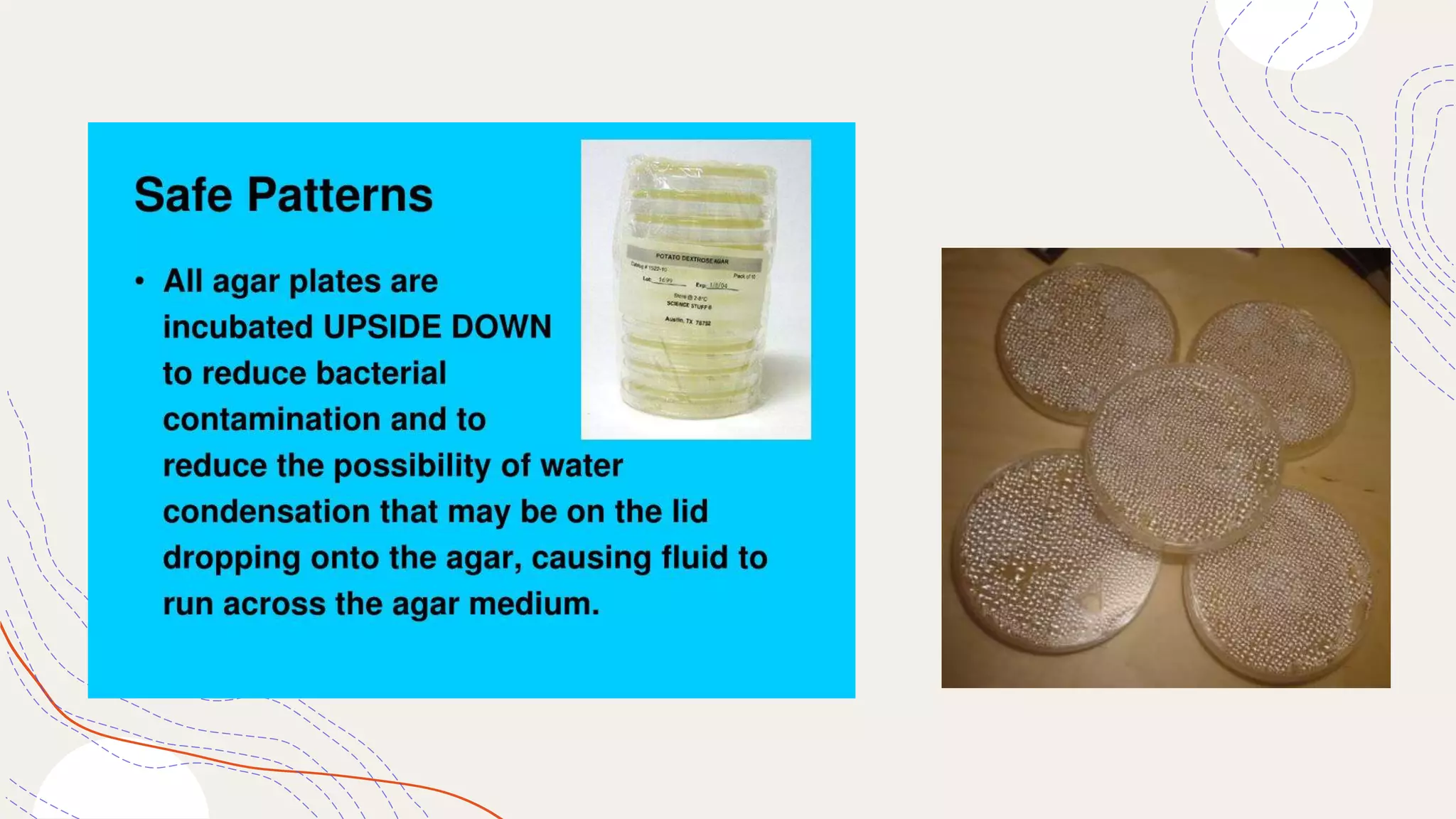 Preparation of bacterial culture media | PPTX