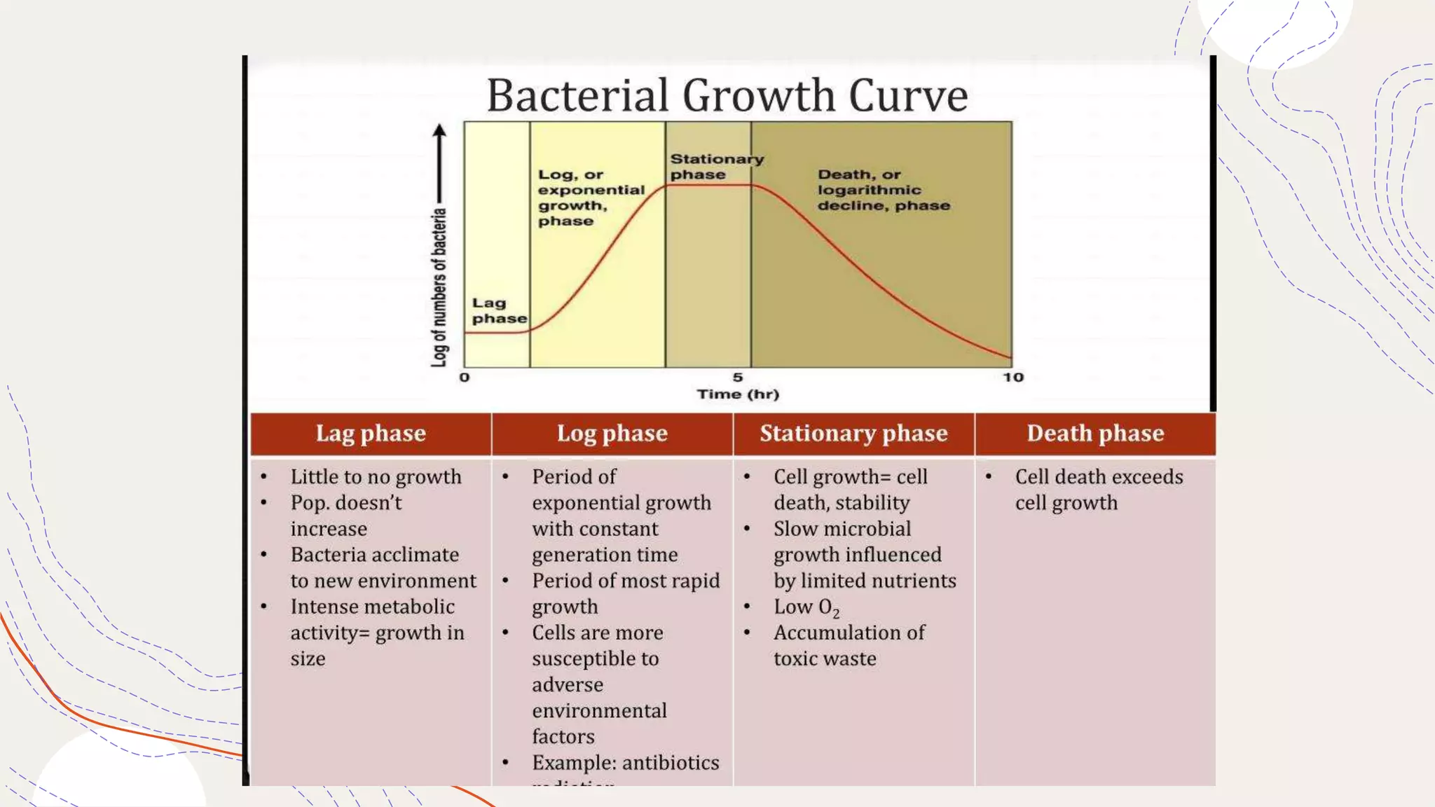 Preparation of bacterial culture media | PPTX